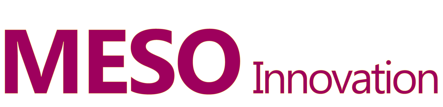MESO Innovation - Product, process and application innovations - RHEONIS